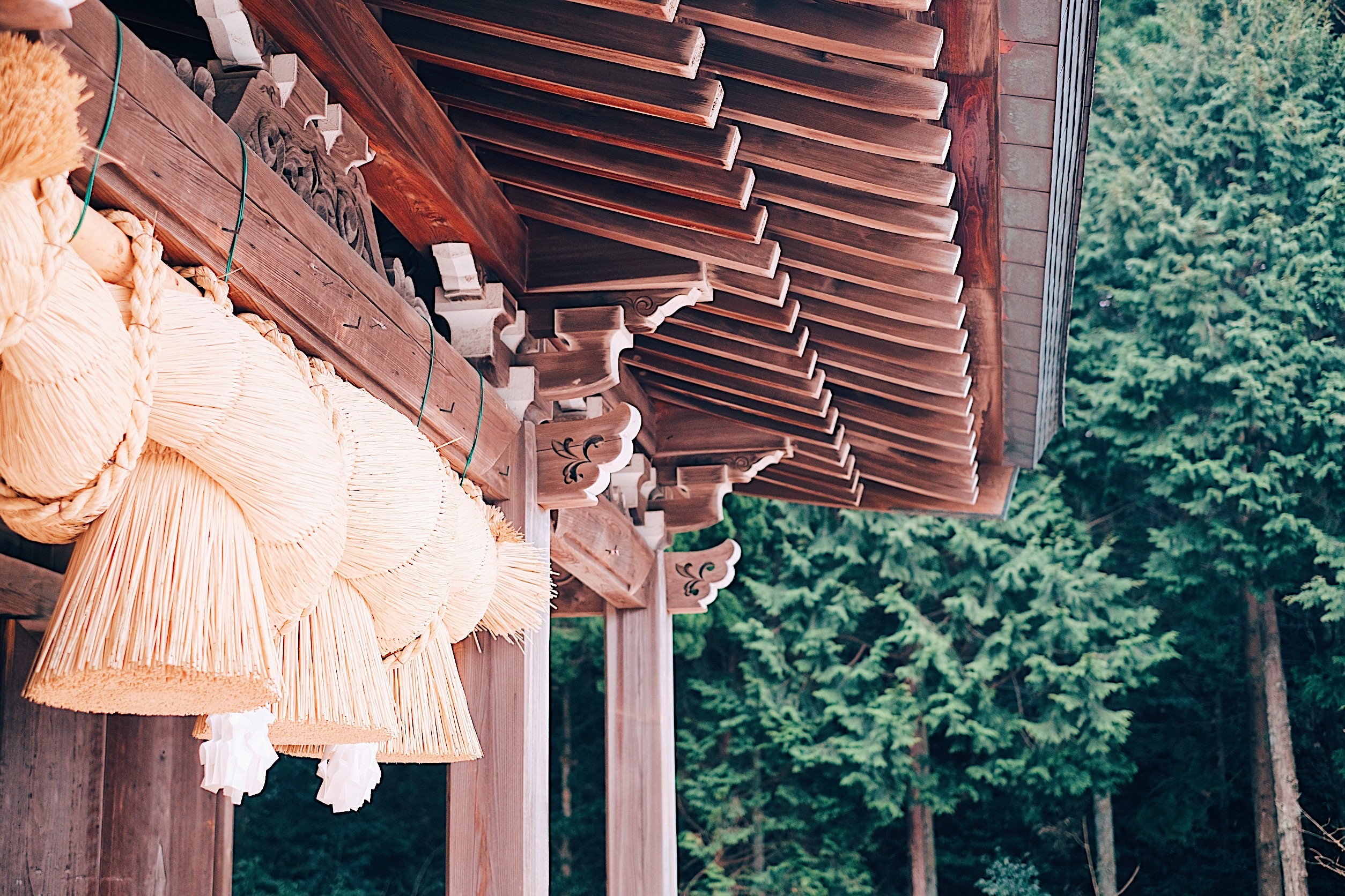 A Walk Through Time: Visit The Shrines in the Dōzen Islands | Stories ...