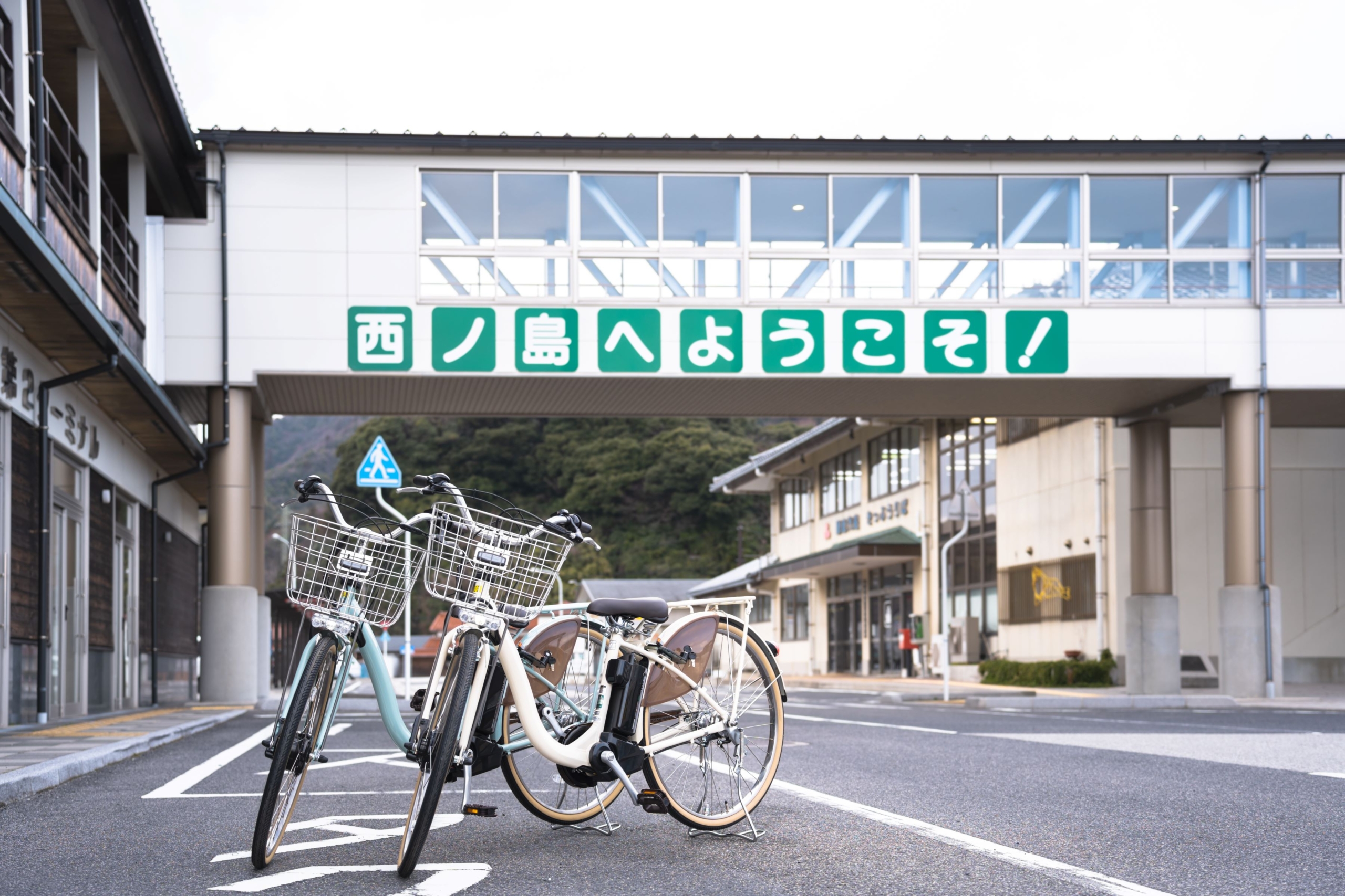 Electric power assisted bicycle Rental(Nishinoshima Town) | Activities ...