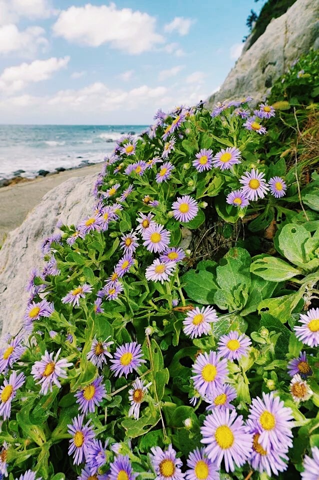 Autumn in the Oki Islands: Places to Go and Things to Know | Stories ...