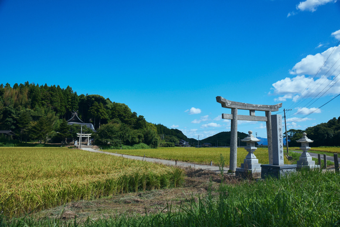 Culture and Festivals Handed Down to the Modern Day | Oki’s Attractions ...